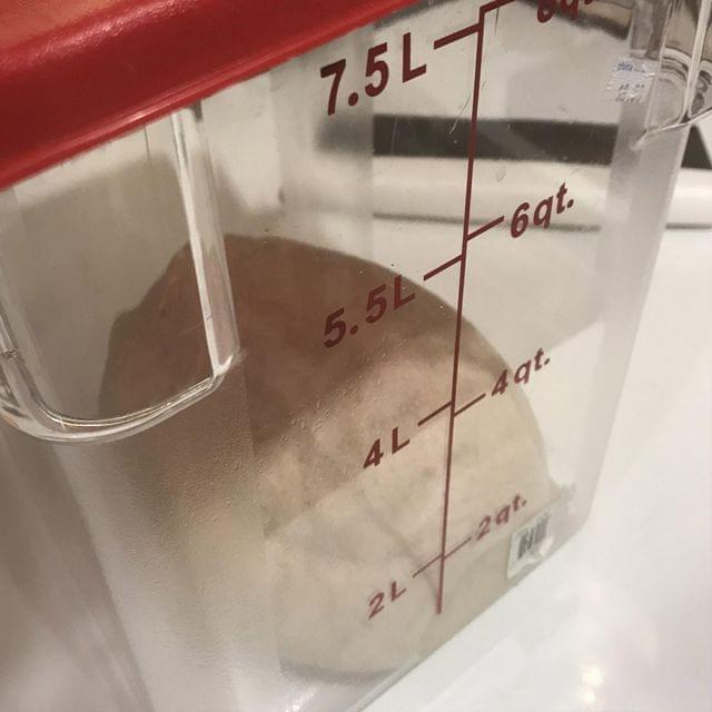 Wilto Makes Food - Understanding Sourdough