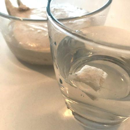 Wilto Makes Food - Understanding Sourdough